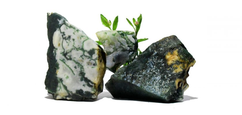 Tree Agate: The Ultimate Guide to Meaning, Properties, Jewelry ...