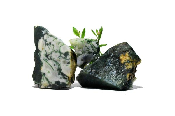 Tree Agate: The Only Guide You Need - Gemstonist